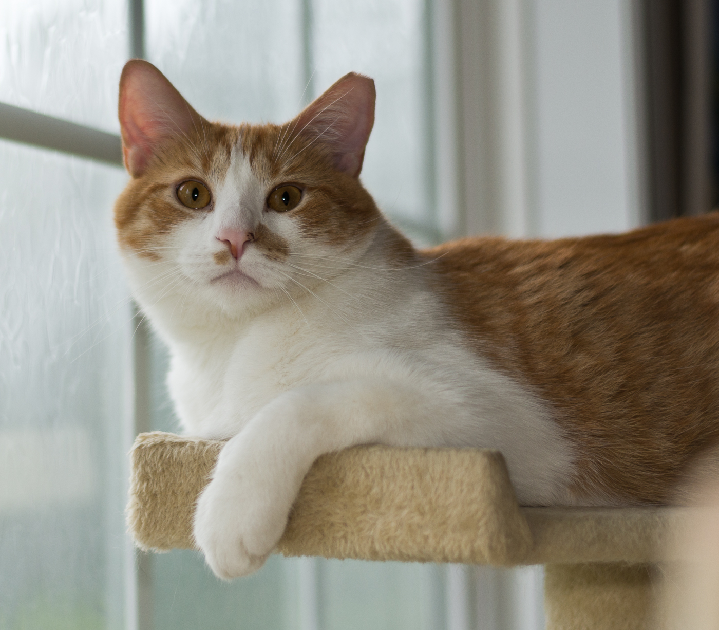 Tea Break | WRITE ON